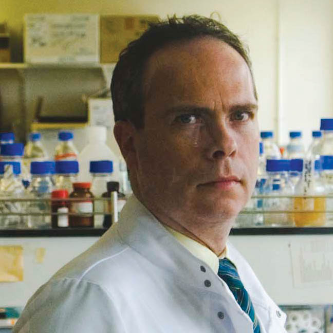 A better age dawns - All Together Now